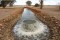 The Great Artesian Basin and Its Springs | Friends of Mound Springs (FOMS)